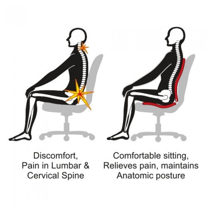 Protect your Spine, Enhance your life | Back Support | Back Support for ...